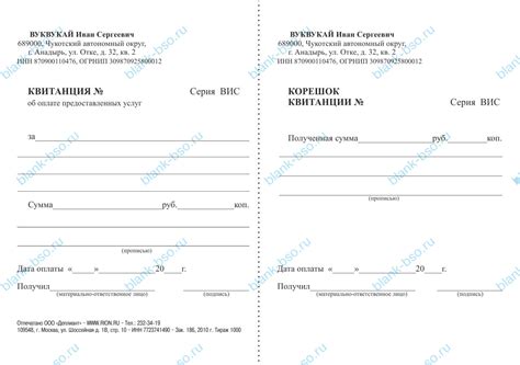 Квитанция об оплате предоставленных услуг ~ Образец Bs0032