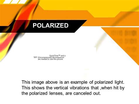 WHAT MAKES POLARIZED LENSES SO PROTECTIVE BY:ALISTAIR FLYNN WHAT MAKES ...