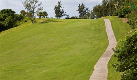 Unveiling The Superiority Of Tiftuf Bermuda Grass The Turfgrass Group Inc