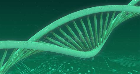 Image Of Dna Helix Rotating Over Electronic Circuit Board Patterns On