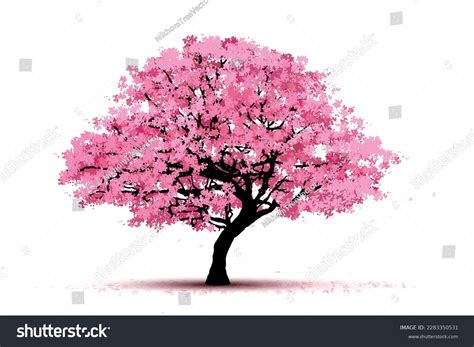 Anime Cherry Blossom Tree Background