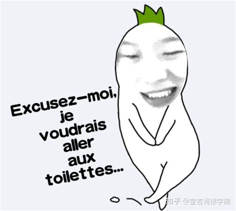 快收藏！这100个法语表情包，学法语的你都在用了吗？ 知乎