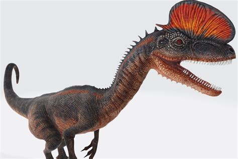 Dilophosaurus Dinosaur 3d Model Ready To Print