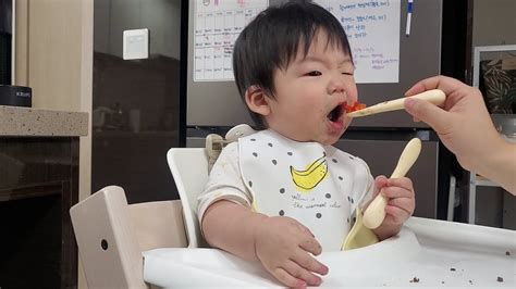 221130 9개월279일 아기 토핑이유식 먹방1영양대추진밥 소고기 애호박 파프리카 양배추 무 Youtube