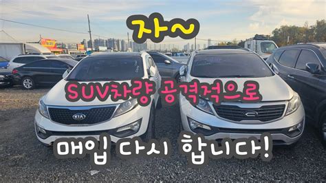 중고차수출 Suv차량 공격적으로 매입합니다~ 스포티지r 2대 사왔어요~ Youtube