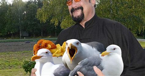 Steve Seagull Album On Imgur