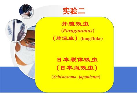 并殖吸虫、血吸虫word文档在线阅读与下载无忧文档