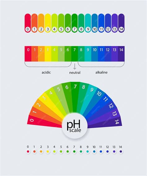 Premium Vector | PH scale chart for acid and alkaline solutions Acidbase balance infographic Vector