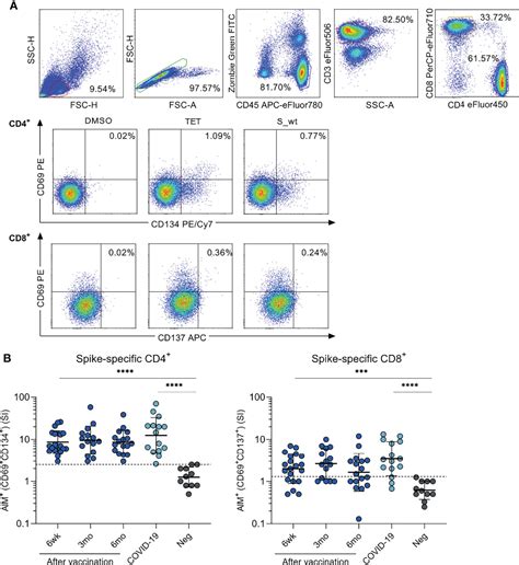 Frontiers Long Lasting T Cell Responses In BNT162b2 COVID 19 MRNA