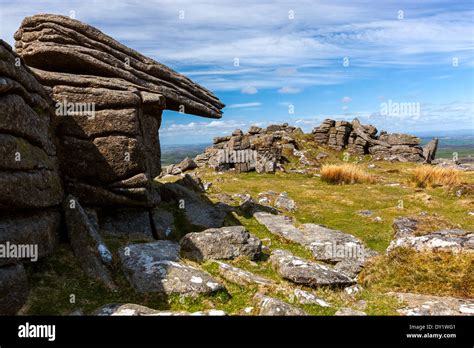 Belstone Tor Dartmoor National Park Belstone West Devon England Uk