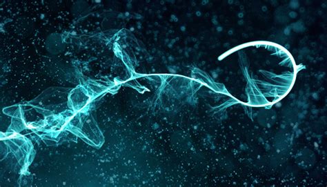 Download After Effects Trapcode Particular Project File