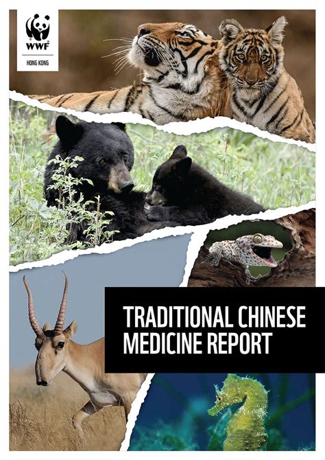 From Tiger Bone To Plant Based Alternatives A Survey On Traditional