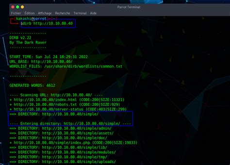Simple CTF TryHackMe HackinGeeK