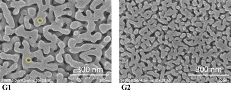Spinodal Decomposition By A Two Step Procedure For Nano Porous Silica Acs Physical Chemistry Au
