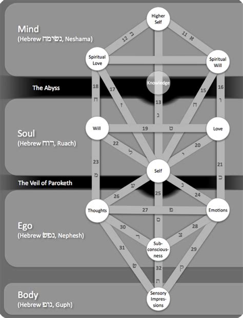 Kabbalah Tree Of Life Occult Symbols Kabbalah Tree Of Life Tree Of Life