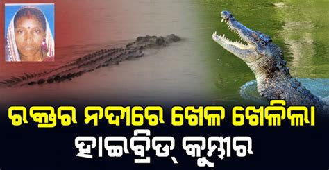 ଭଦ୍ରକ ରୁ ଯାଜପୁର ଆସିଲା ମଣିଷଖିଆ କୁମ୍ଭୀର ନଦୀକୁ ଆସିଥିବା ମହିଳାଙ୍କୁ ଭିତରକୁ