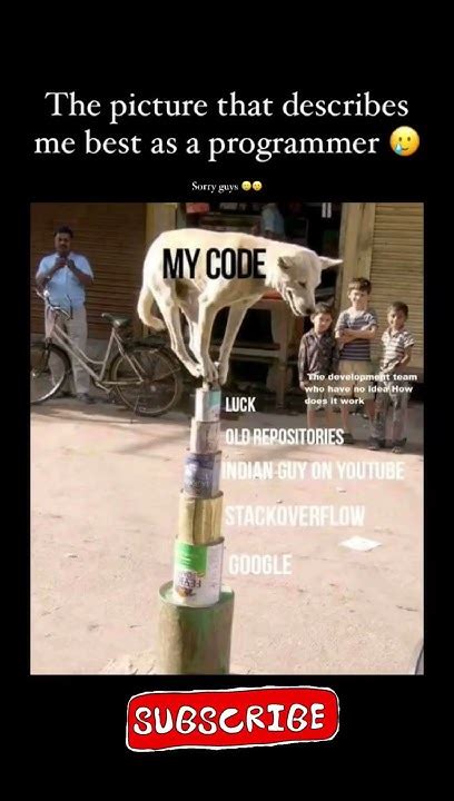 The Picture That Describes Me Best As A Programmer Vinayrajput Dd4you