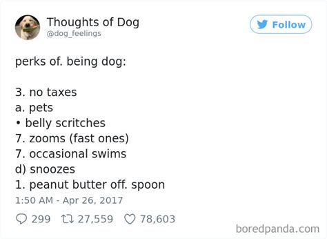 182 Of The Funniest Dog Thoughts Bored Panda