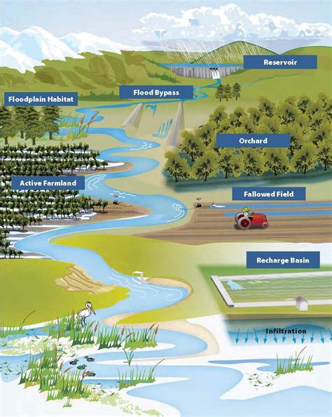 Groundwater Recharge And Discharge