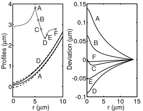 13 profiles solid with parabolic approximation dashed left and