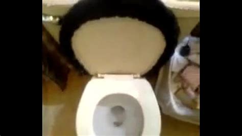 Jackin My Dong Xxx Mobile Porno Videos And Movies Iporntv Net