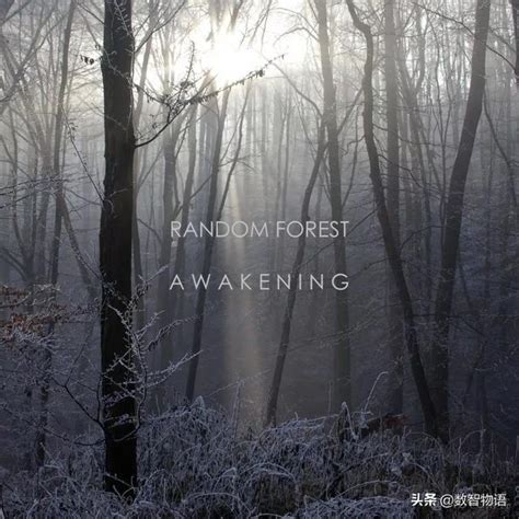 基于随机森林实现特征选择降维及回归预测python Python 随机森林回归blueice的技术博客51cto博客