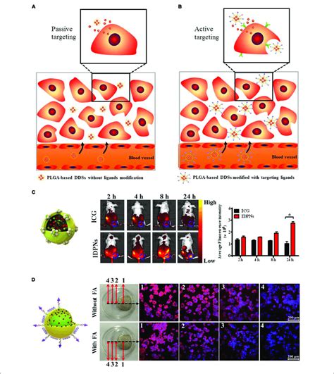 A Schematic Illustration Of The Passive Tumor Targeting Approach Of