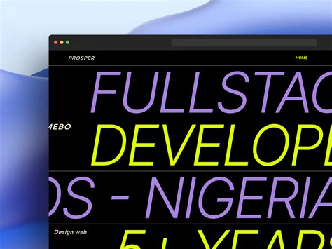 Full Stack Developer Portfolio Behance