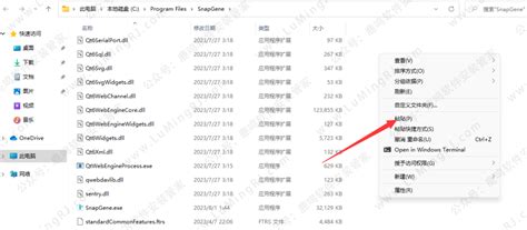 Snapgene 7 0 2 Win版本•中文英文•软件安装包下载 安装教程步骤•win系统•日常分子生物学工具 鹿鸣