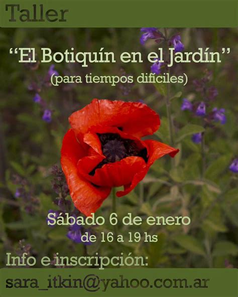 Plantas para la salud Dra Sara Itkin Taller El Botiquín en el