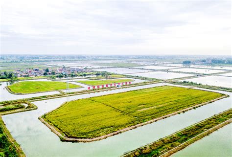 稻蟹共生图片素材 稻蟹共生设计素材 稻蟹共生摄影作品 稻蟹共生源文件下载 稻蟹共生图片素材下载 稻蟹共生背景素材 稻蟹共生模板下载 搜索中心