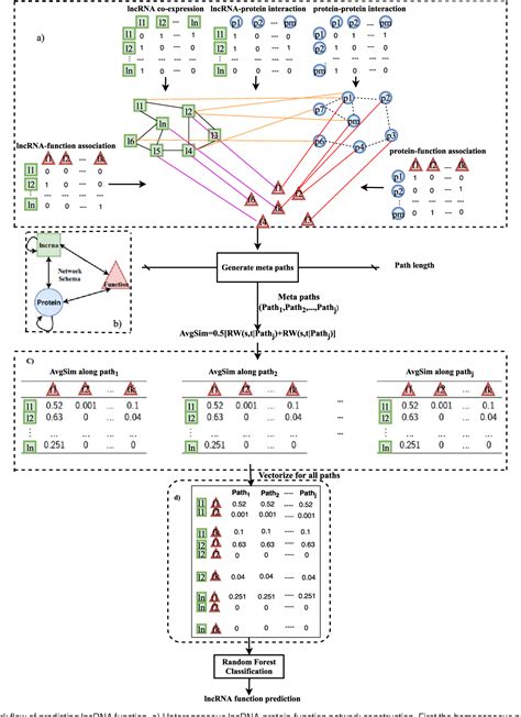 Figure 1 From A Heterogeneous Information Network Model For Long Non Coding Rna Function