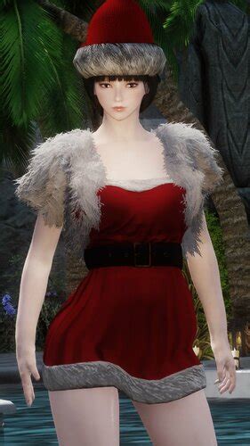 Christmas Collection 10 Kinds Armor And Clothing Loverslab