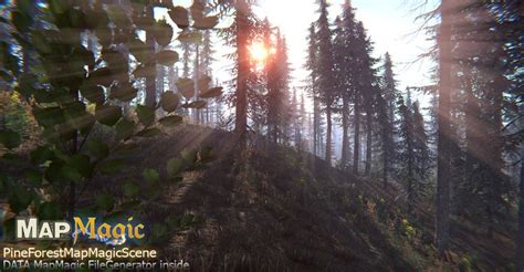 Spruce Trees Pack 3d Vegetation Unity Asset Store Spruce Tree