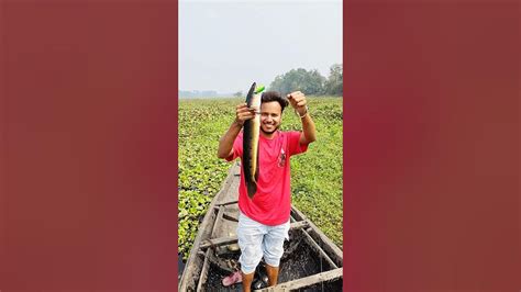 শোভন দা আর আমি মাছ ধরতে গেলাম বাঁওরে Bengali Mini Vlog Shovon Mini Vlog Shorts Youtube