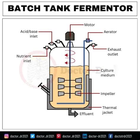 Complete Guide To Batch Fermentation And Batch Culture Definition Principle Process
