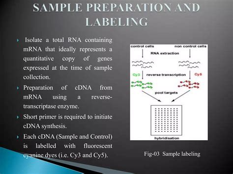 Microarray Pptx