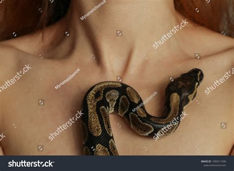 Snake Sex Images Stock Photos Vectors Shutterstock