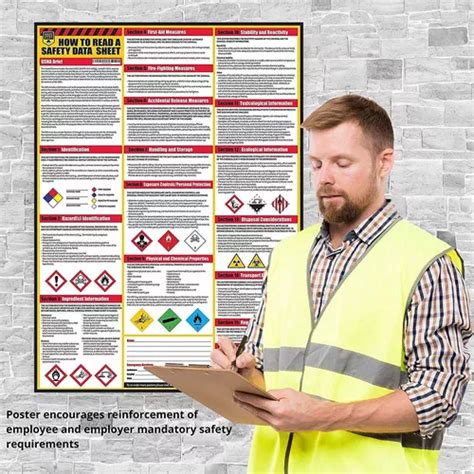 How To Read A Safety Data Sheet Sdsmsds Poster 24 X 33 I Envío Gratis