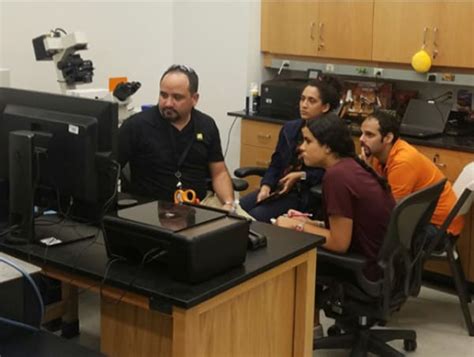 Neuroimaging And Electrophysiology Facility Services