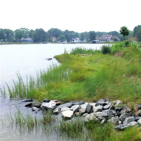 Mitigation Matters Policy Solutions To Reduce Local Flood Risk The