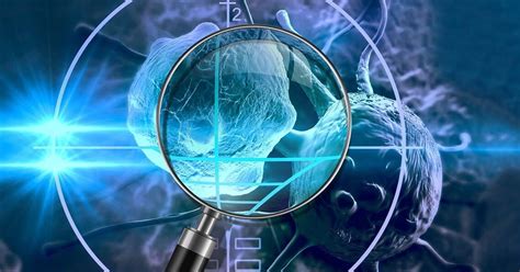 How Ai Powered Web Applications Are Revolutionizing Education By