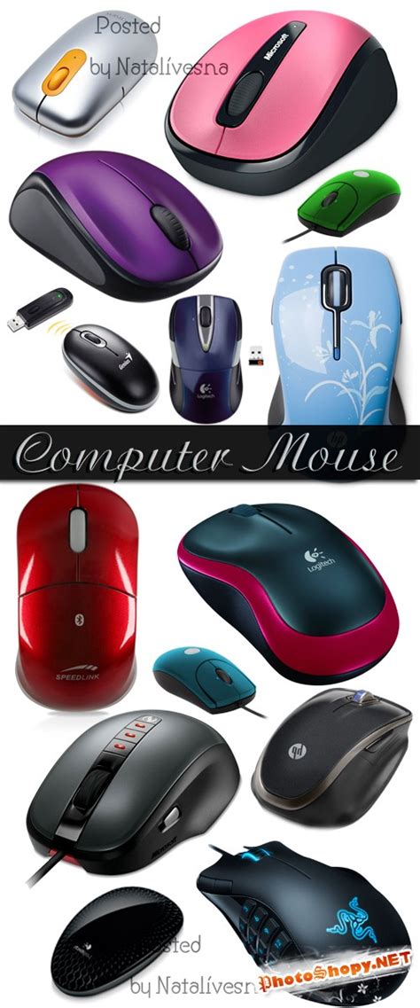 Клипарт в PNG – Компьютерная мышь/ Computer mouse - Clipart in PNG