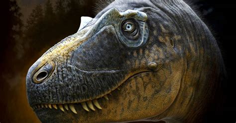 Nieuwe Tyrannosaurus Ontdekt Mogelijke Missing Link In Evolutie T