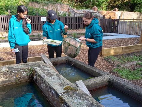Year 13 Biologists Having A Snail Of A Time At Juniper Hall Queenswood