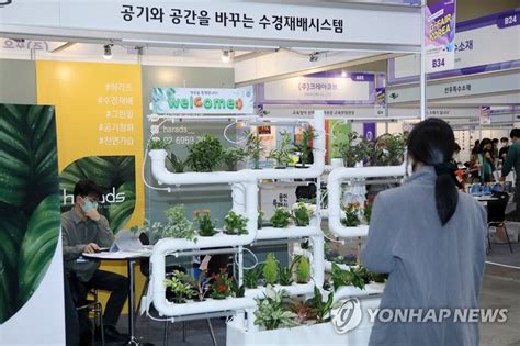 편리한 수경재배시스템 연합뉴스