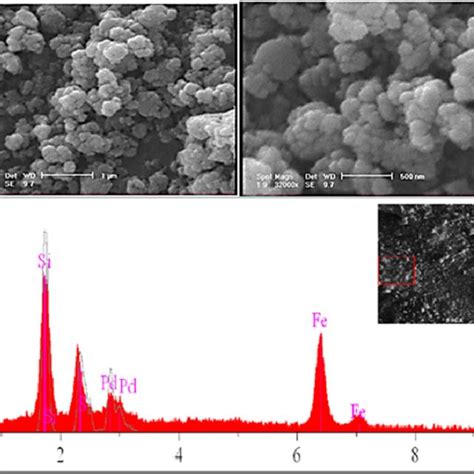 tga curves of a pure fe3o4 nanoparticles b silan a treated fe3o4