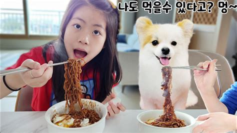 강아지가 먹을 수 있는 짜장면이 있다네요 ~~ 서은이의 강아지 간식 멍짜장 이야기 Youtube