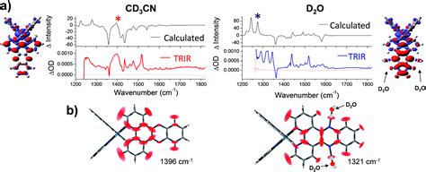 Direct Observation By Time Resolved Infrared Spectroscopy Of The Bright