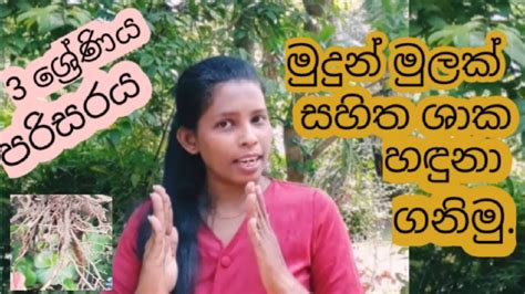 මුදුන් මුලක් සහිත ශාක හඳුනා ගනිමු Poddange Mahagedara Youtube